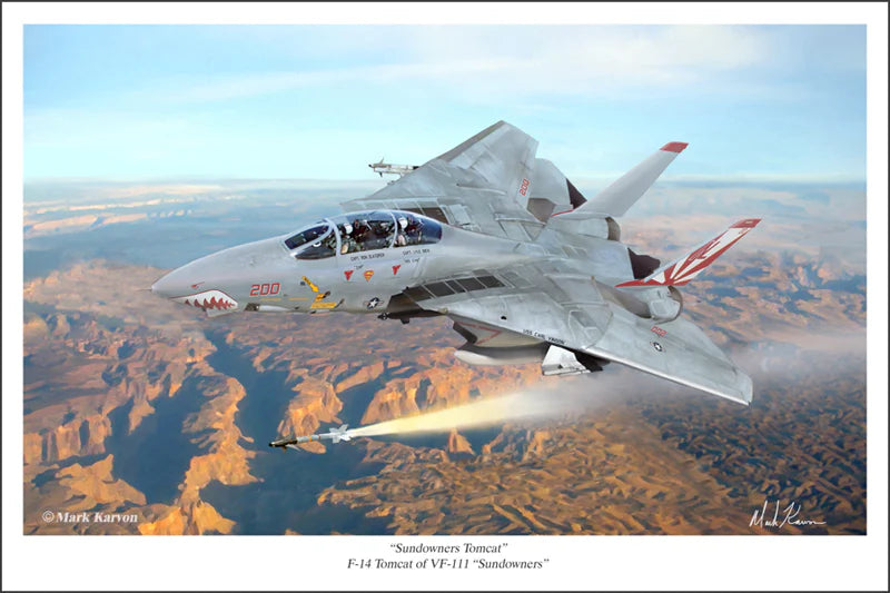 F-14 Tomcat - "Sundowners Tomcat" Print – The Flying Shop