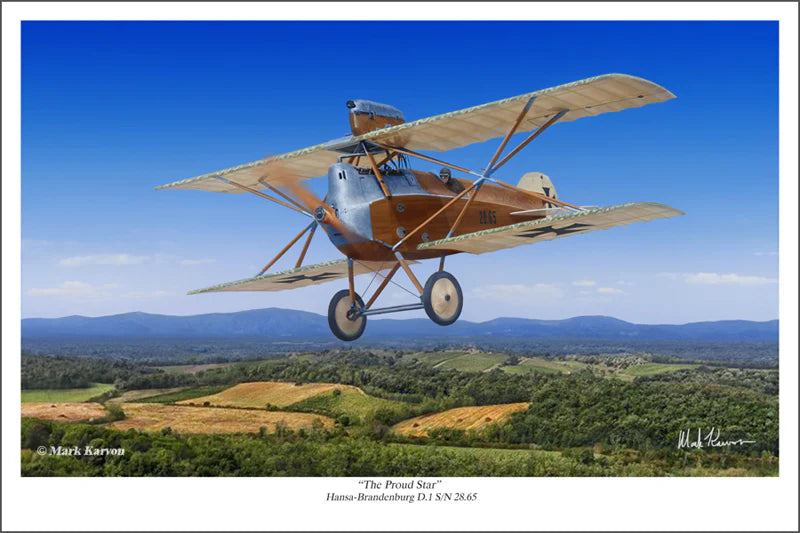 Hansa-Brandenburg D.1 - "The Proud Star" Print – The Flying Shop